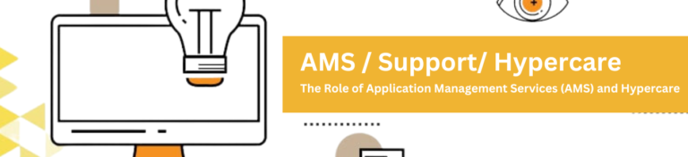 Ams Support Hypercare